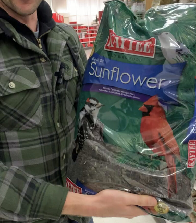 The Best and Worst Bird Seed at Target - BIRD BITES