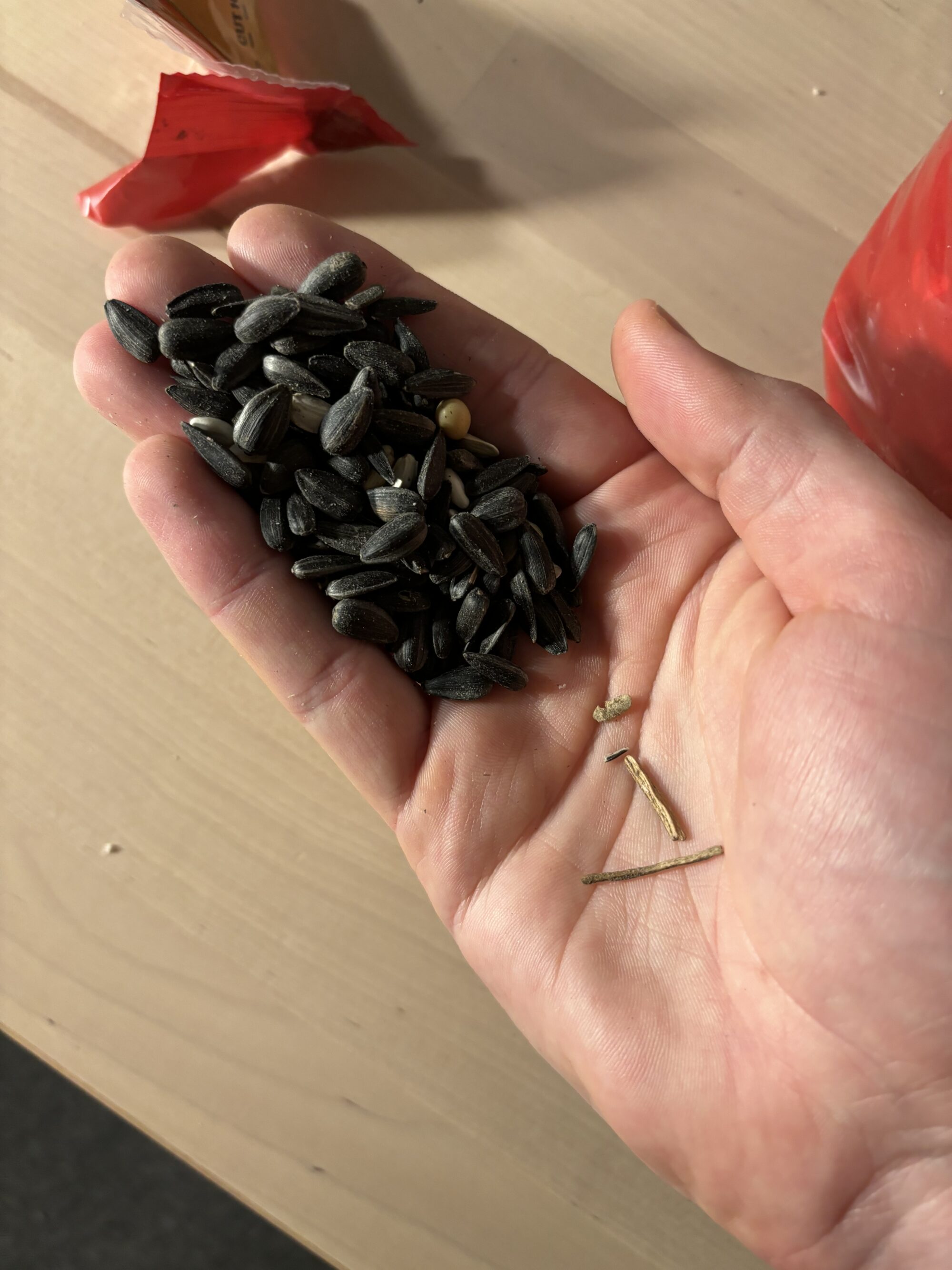 Review: A Cheap Bird Seed Cardinals Will Love - BIRD BITES